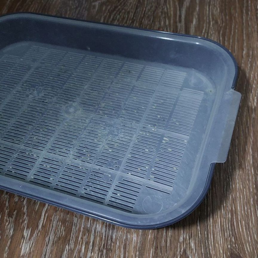 Лоток для кошки