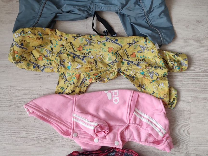 Лежанки, жилетки, миски, лотки для собак