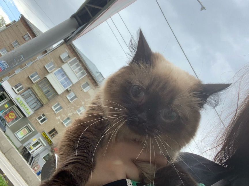 Невская маскарадная