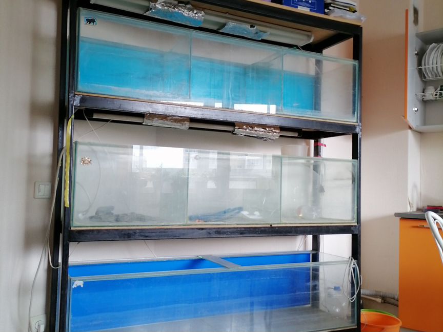 Продаётся аквариум 35литров