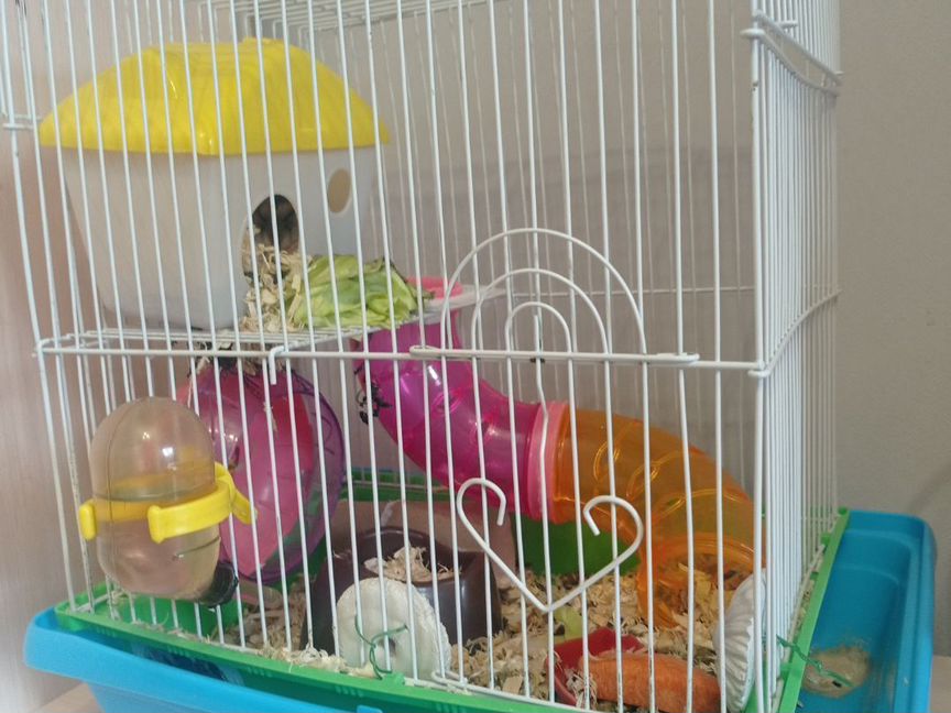 Клетка для хомяка