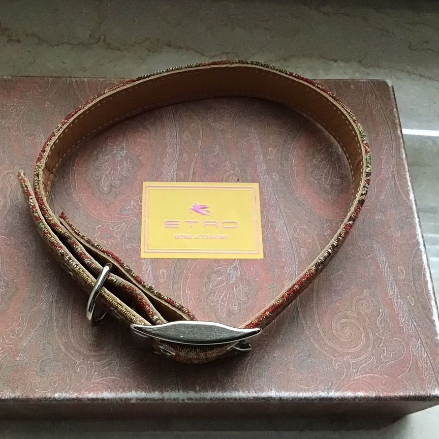 Ошейник и поводок Etro новые оригинал