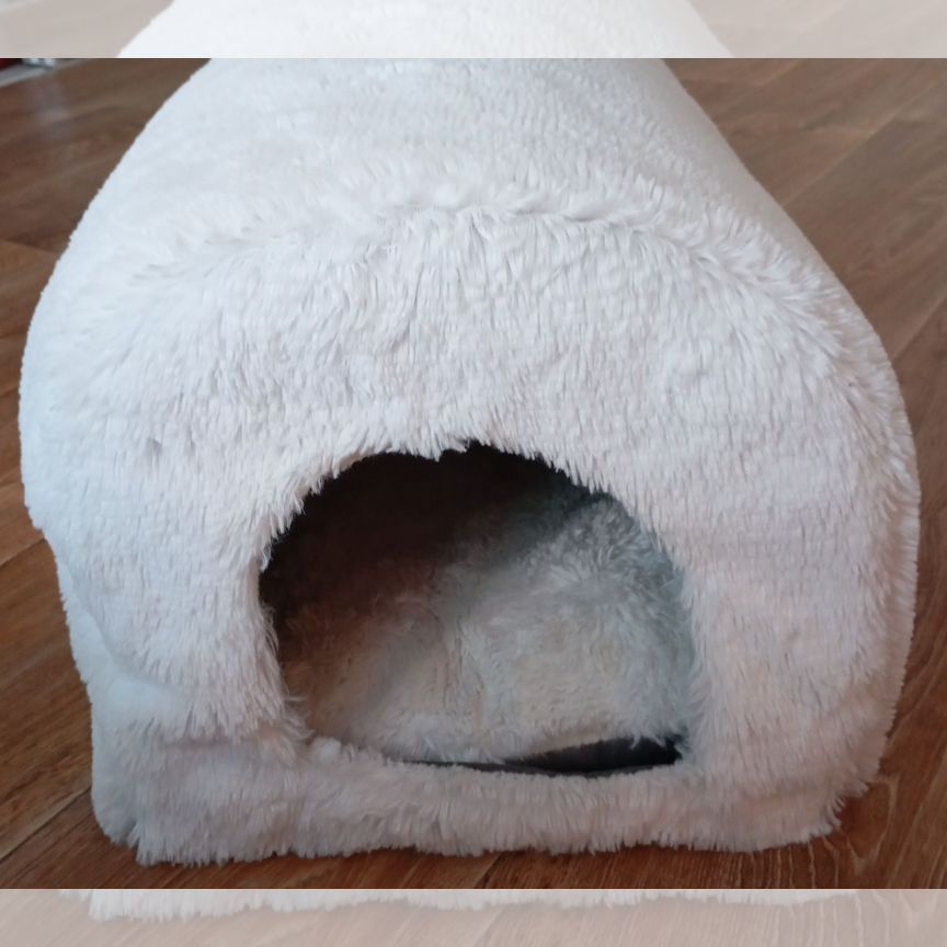 Кошкин домик