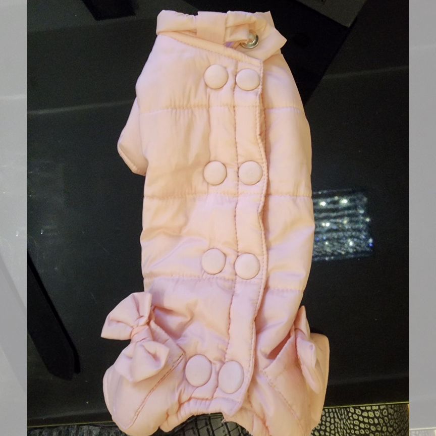 Одежда для маленьких собак