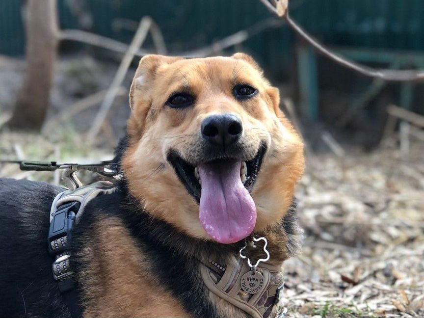 Хрупкая девочка оказалась в приюте