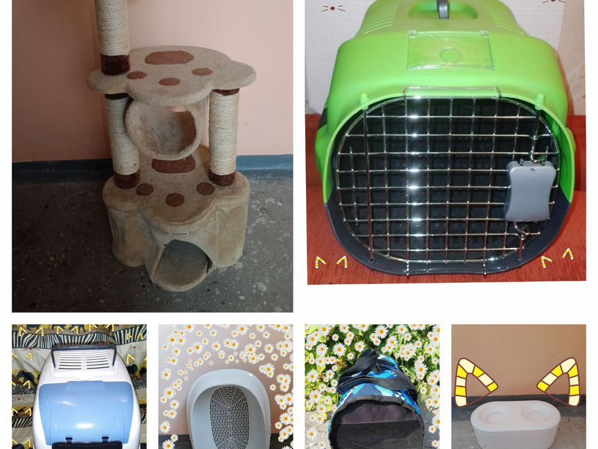 Когтеточка, переноска, лоток