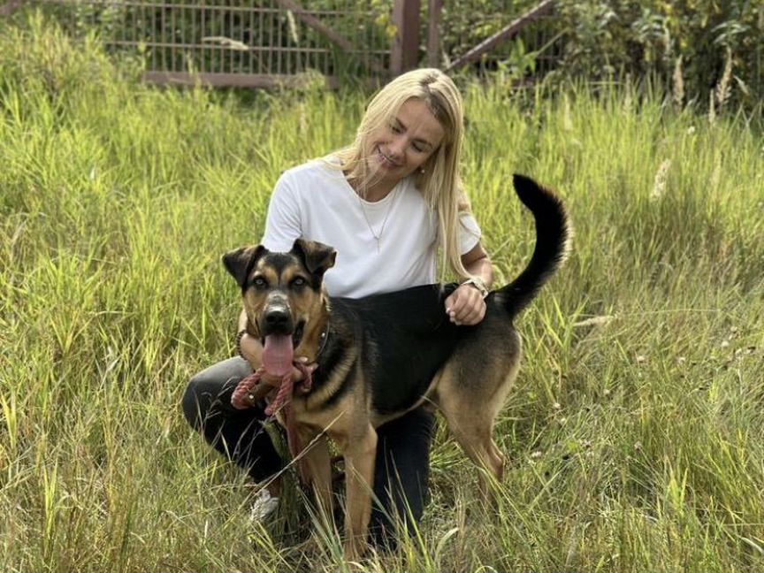 Шикарный мальчик Тайгер ждет Вас в приюте