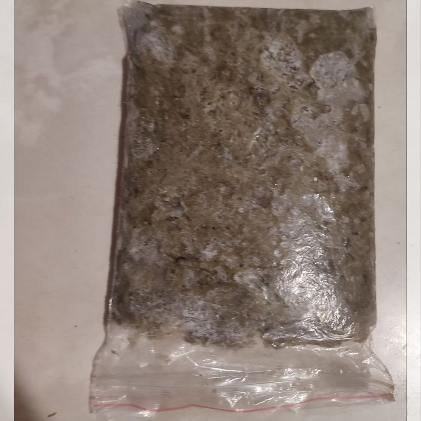 Коретра замороженная