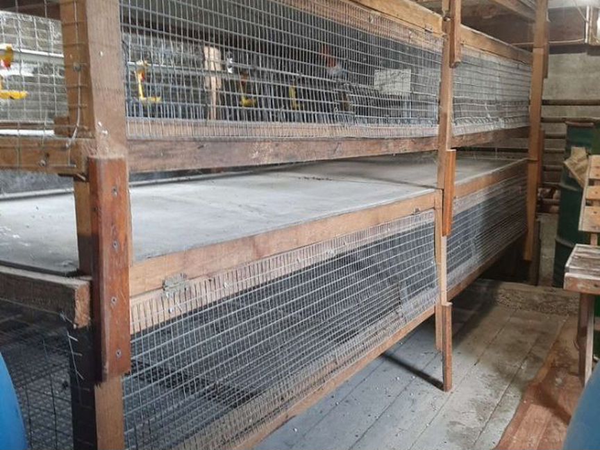 Клетки под бролер И можно под кралей