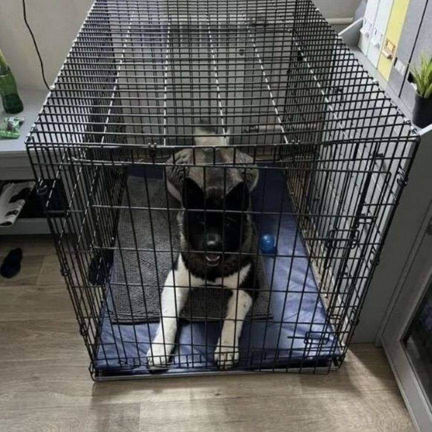 Вольер клетка для больших пород