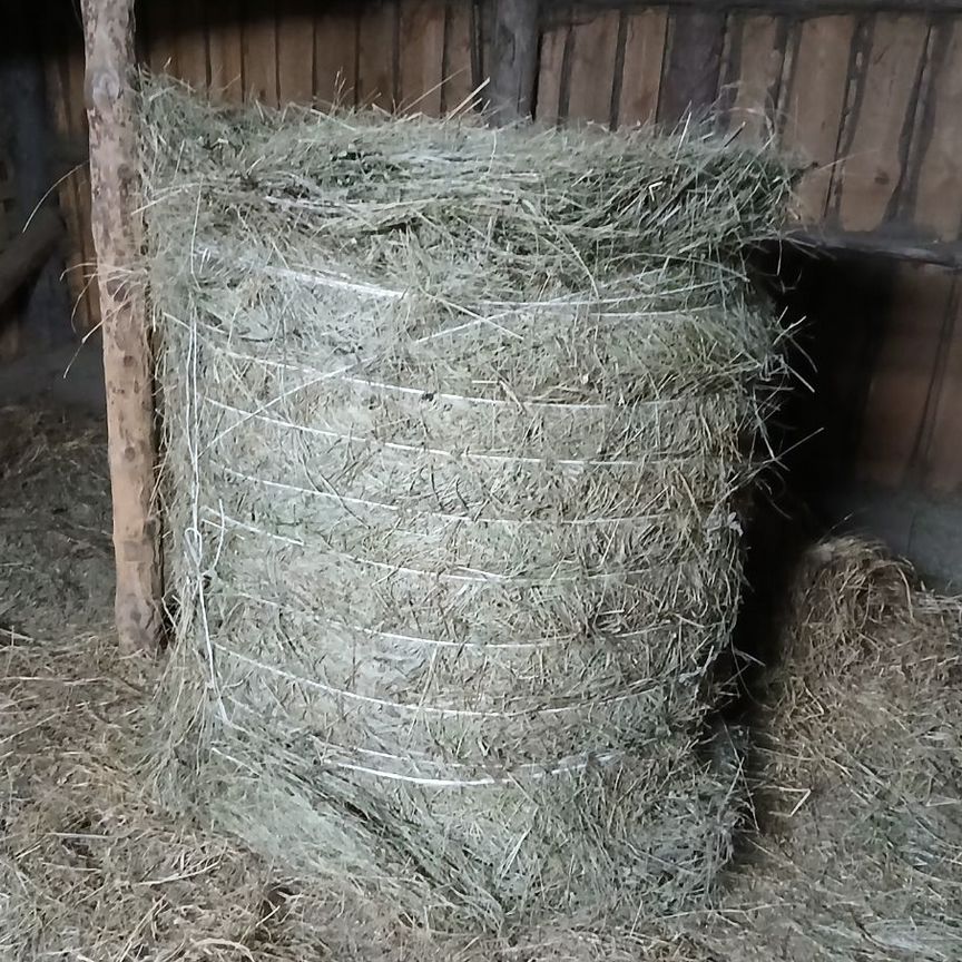 Продам сено в рулонах
