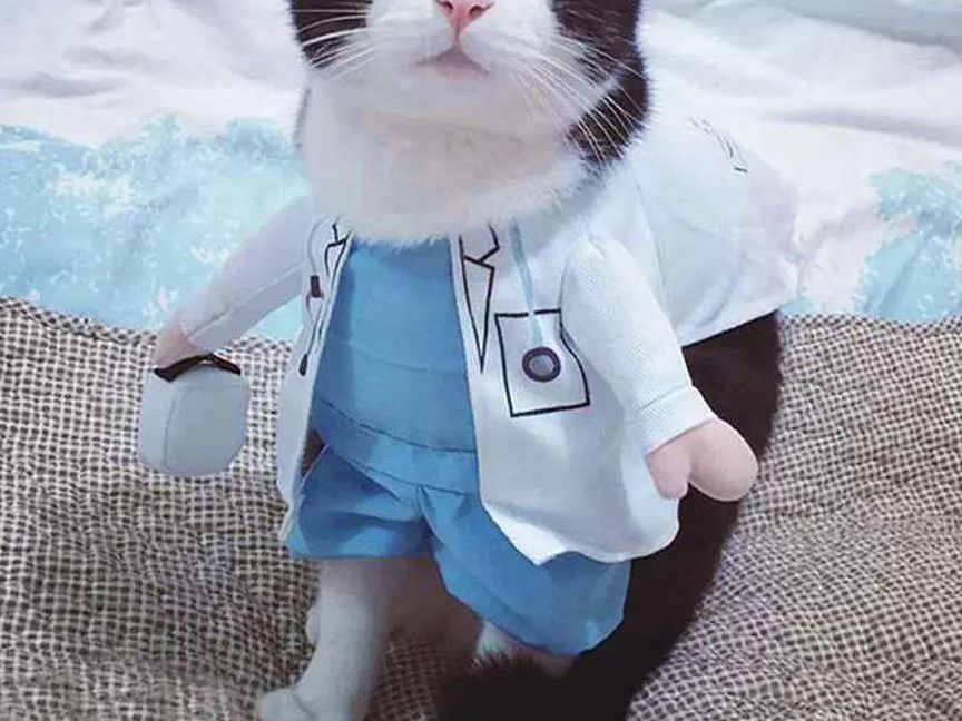 Костюм Доктор для кота