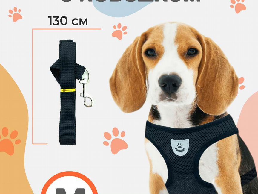 Ошейник для собак