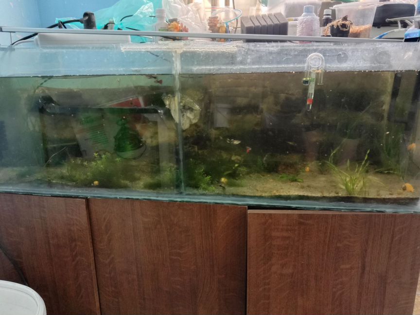 Аквариум с тумбой и рыбками