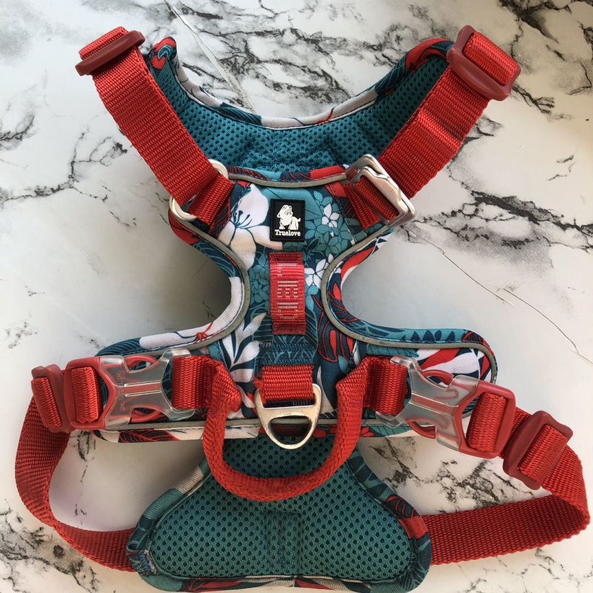 Шлейка анатомическая для собак