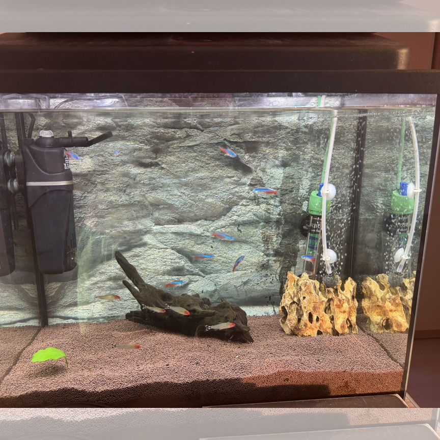 Аквариум 50 литров и 25 литров