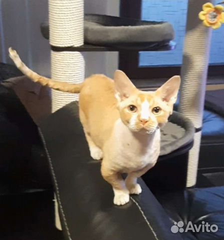 Минскин Minskin