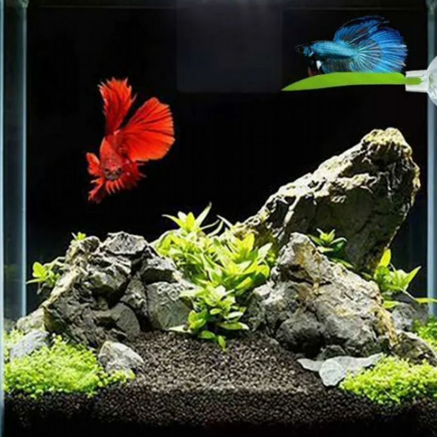 Аквариум нано cube