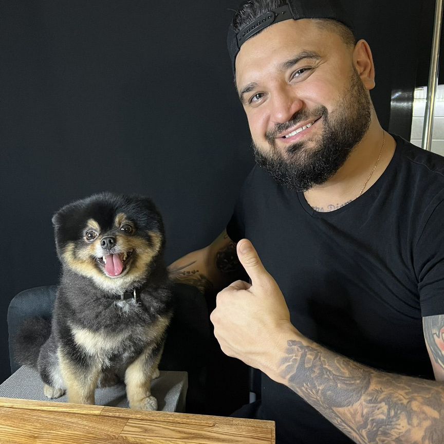 Шпиц для вязки. Красавчик Вилсон