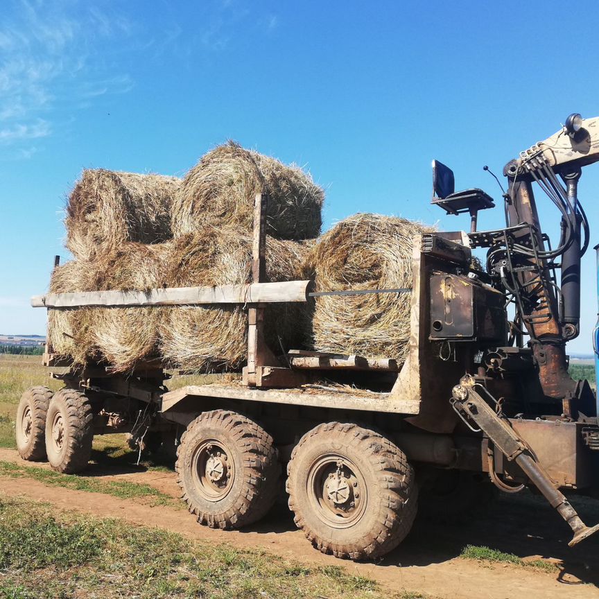 Продам сено в рулонах