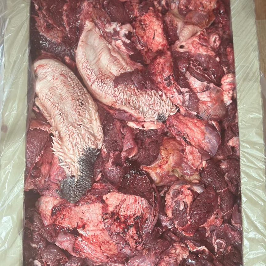 Натуральное питание для собак