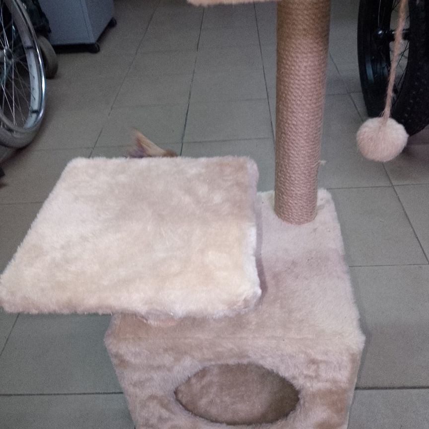 Кошкин дом с дралкой