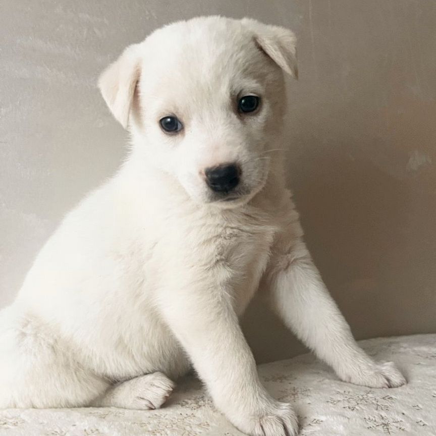 Мама забери меня домой