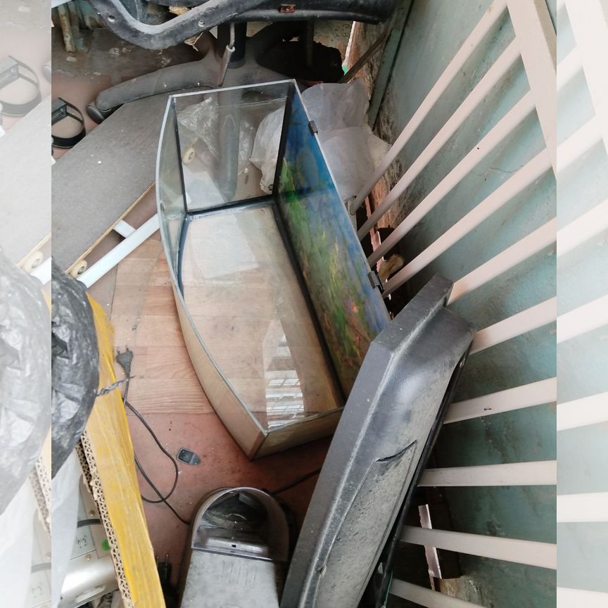 Продам аквариумных рыбок