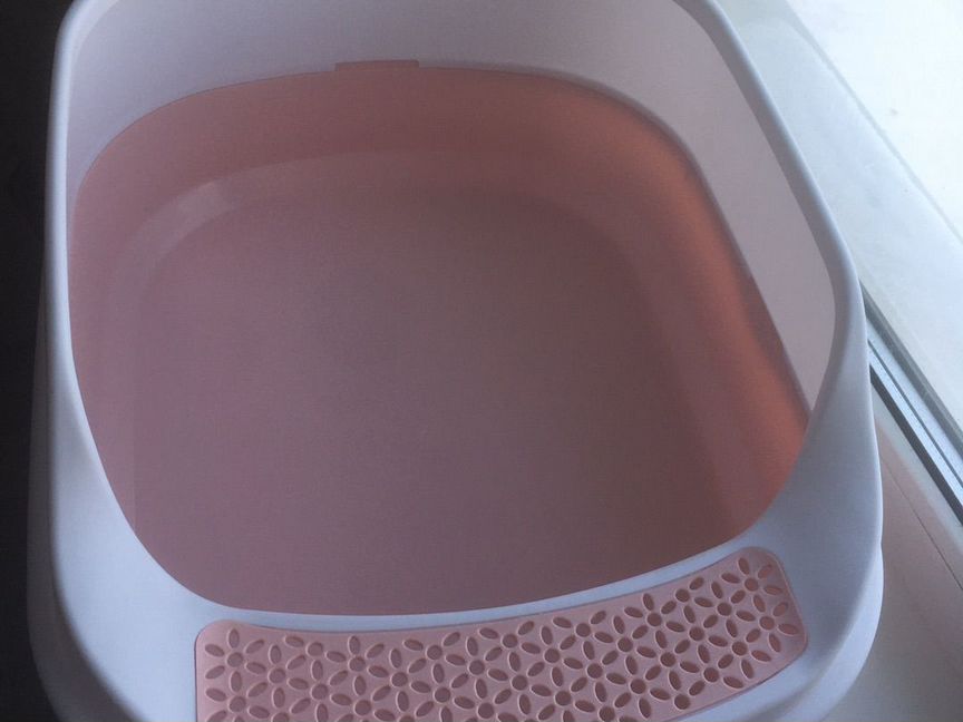 Кошачий лоток