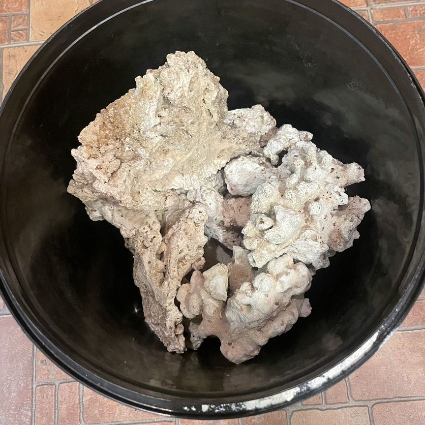 Морской рифовый камень