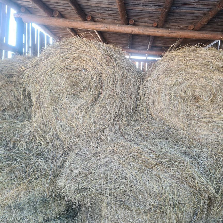 Сено в рулонах