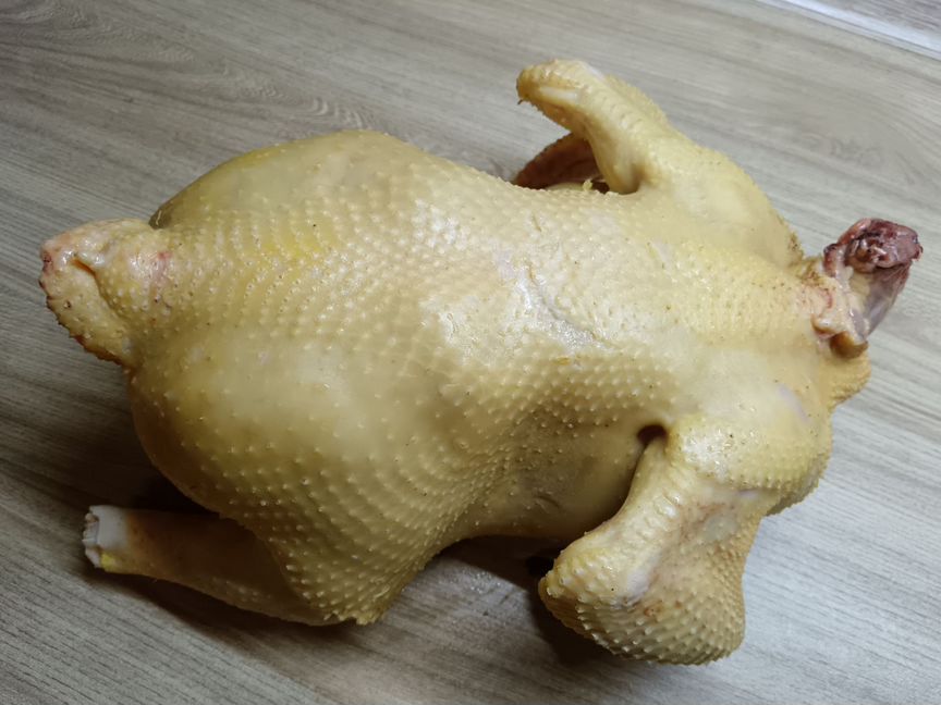 Куры домашние