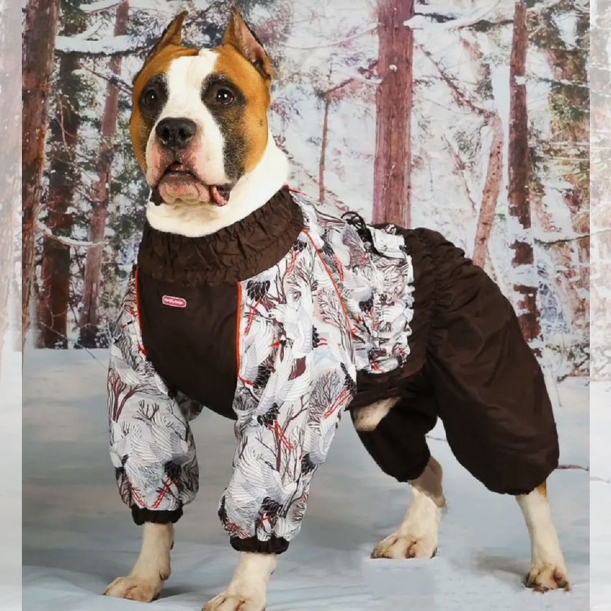 Зимний комбинезон для собак мальчиков ForMyDogs C2