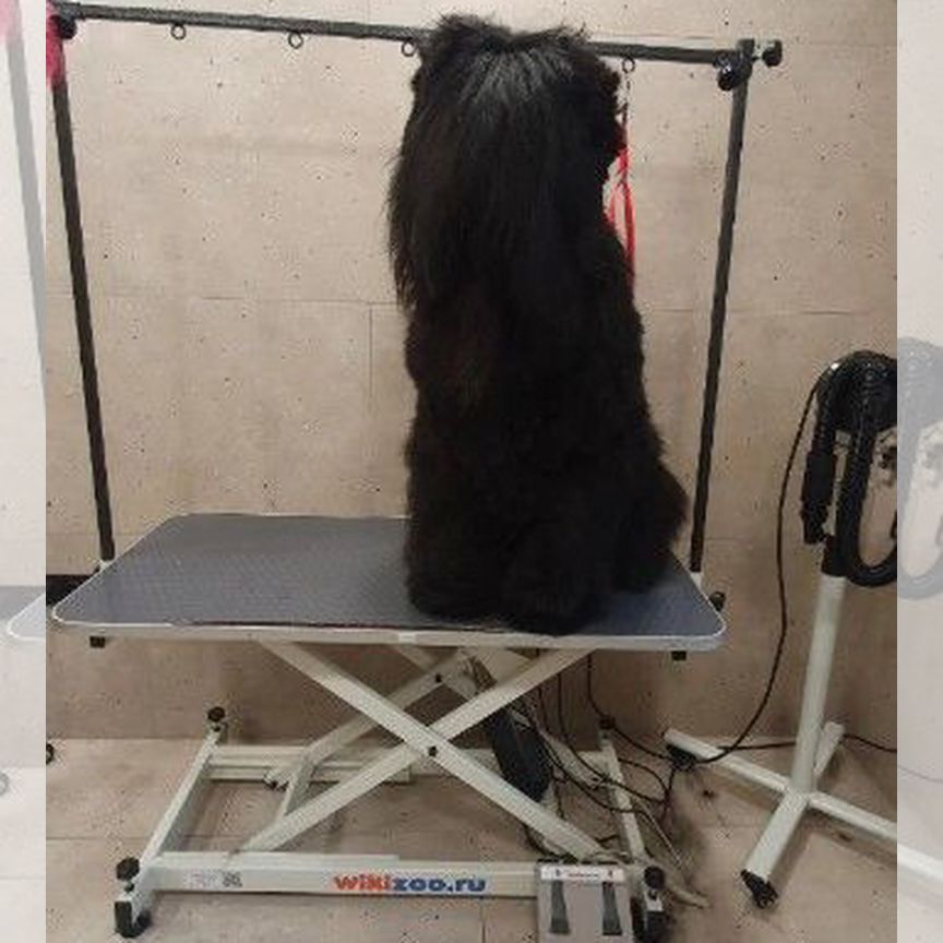 Стол для груминга усиленный электрический (120*60)