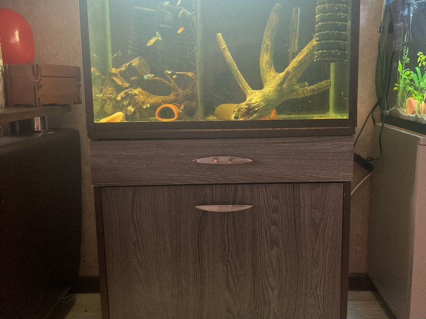 Аквариум с тумбой 100 литров
