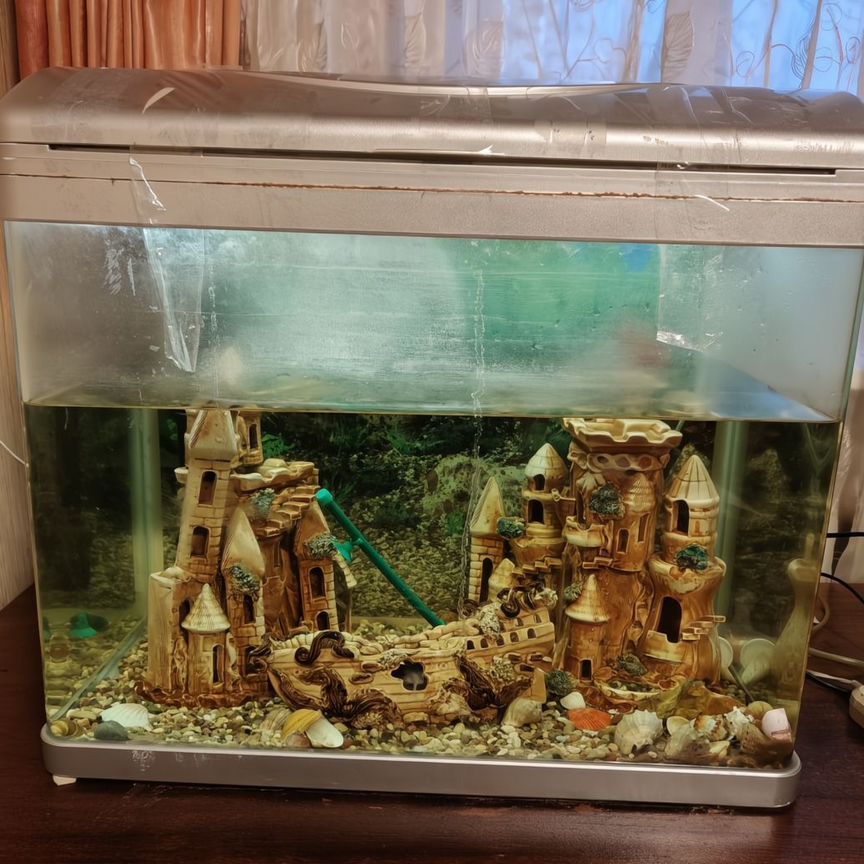 Аквариум