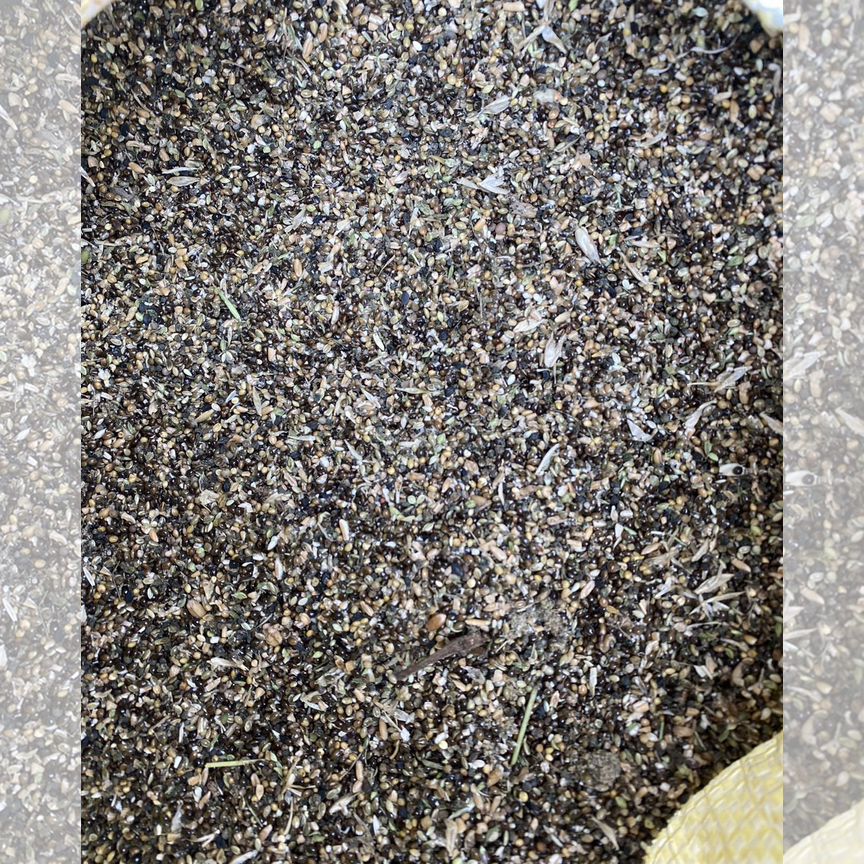 Зерноотходы для птиц с доставкой