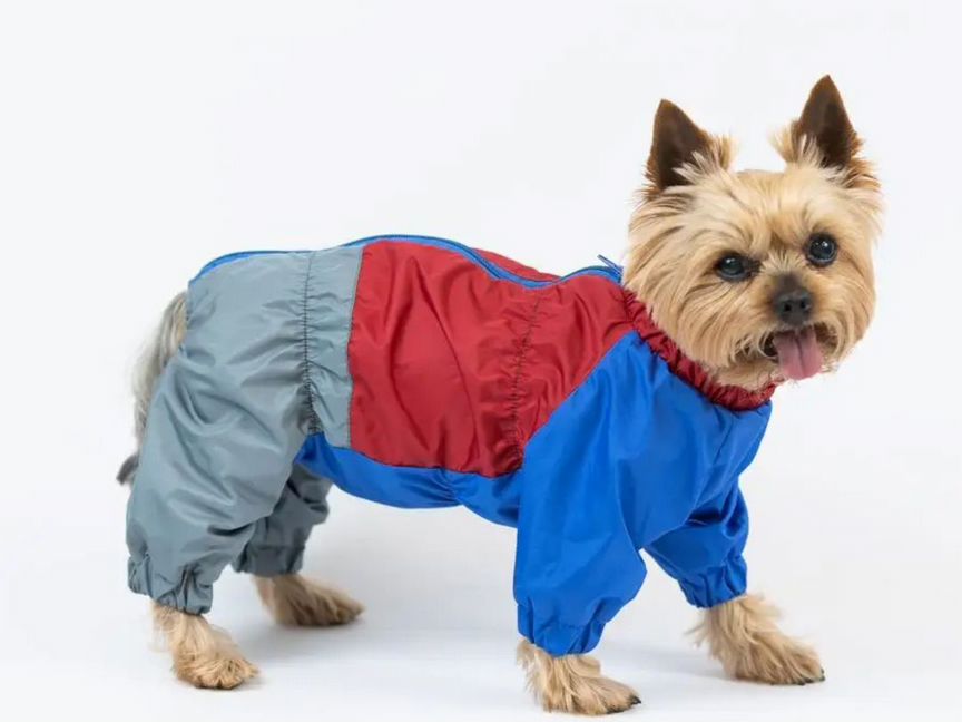 Утеплённый комбенизон для собак