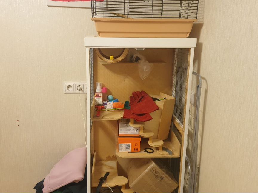 Клетка