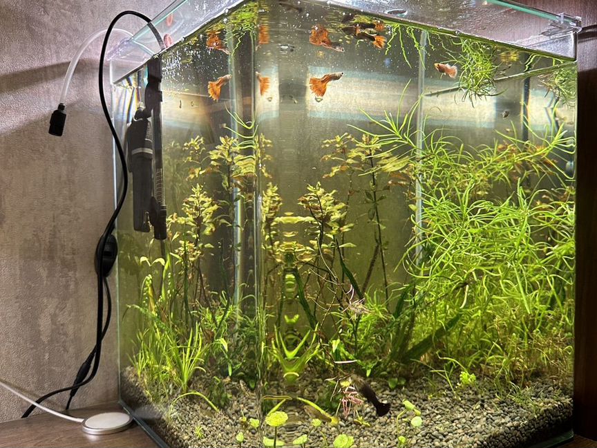 Аквариум dennerle Nano cube 60л