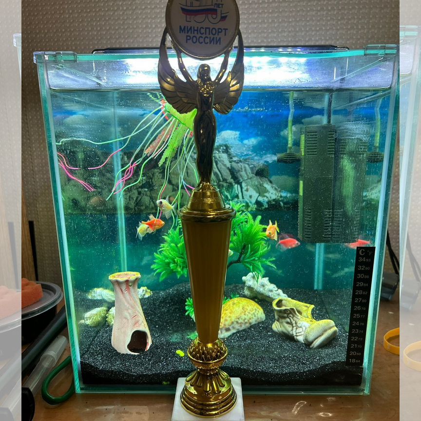 Аквариум
