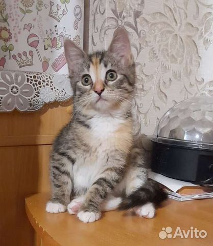 Чудесный ребёнок