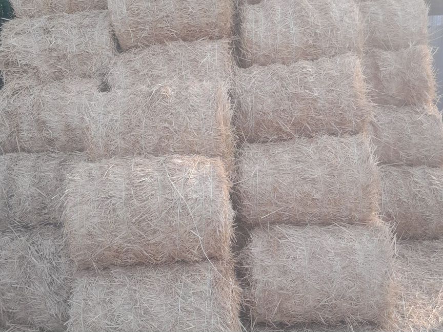 Солома пшеничная под заказ