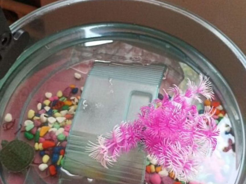 Черепашатник террариум аква-террариум