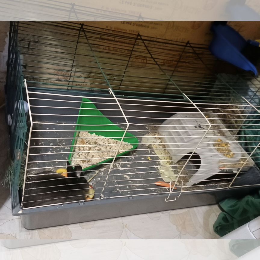 Продам клетку для грызунов