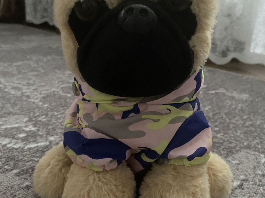 Мопс собака