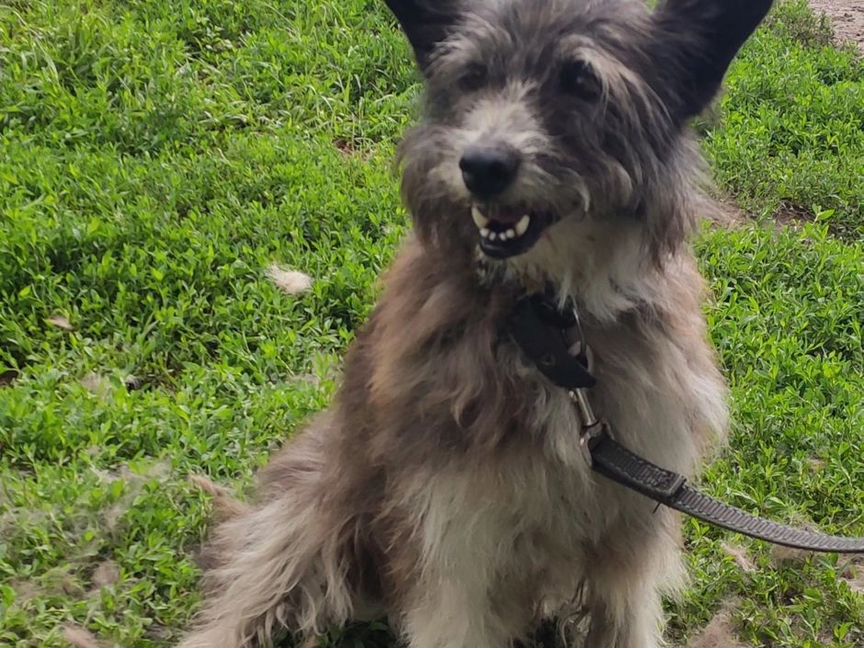 Помогите пожалуйста