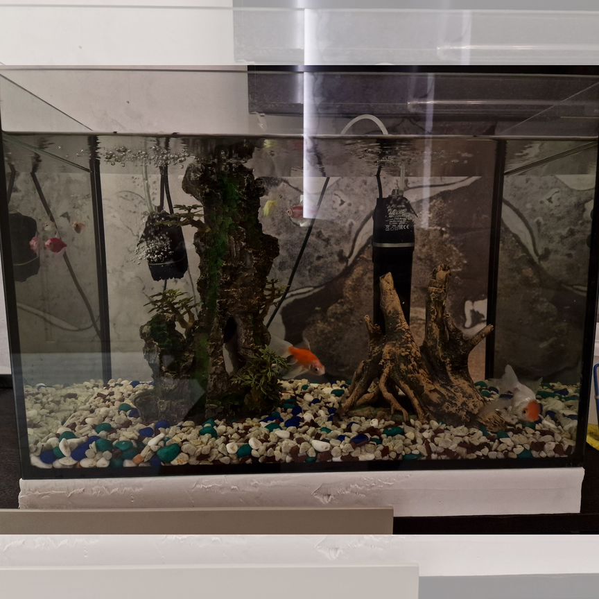 Аквариум с рыбками