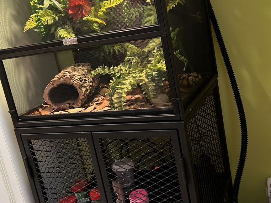 Тумба под террариум производство