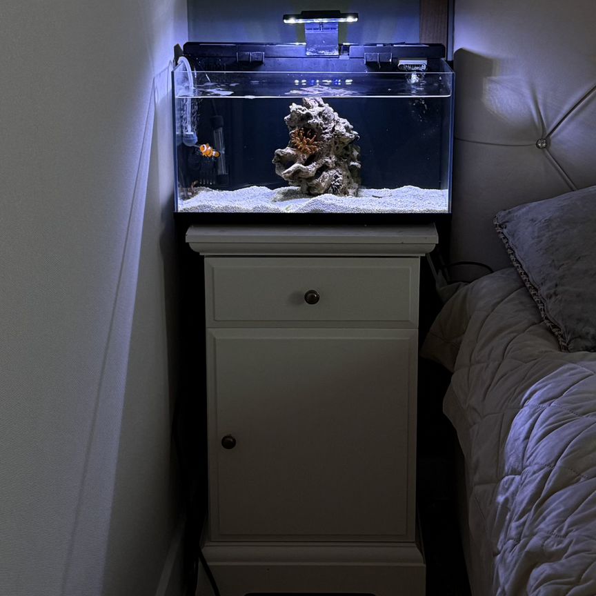 Аквариум морской с рыбкой